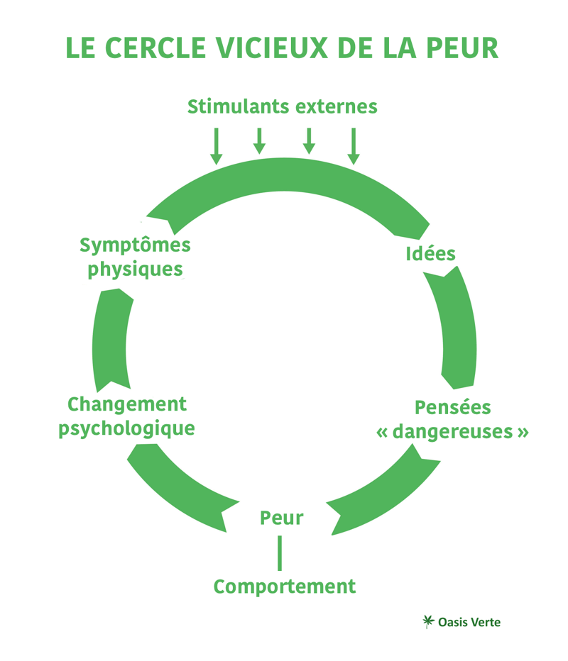 CBD contre l’anxiété et la peur | Guide et conseils (2020)